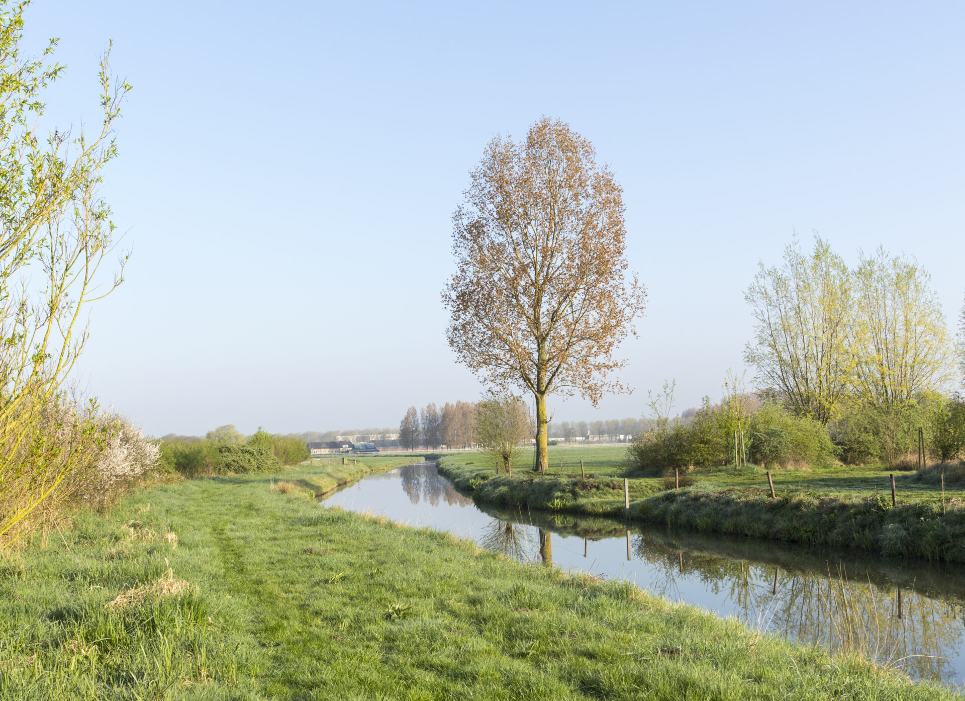Op pad met je hond: mooie losloopgebieden - Gelderse streken